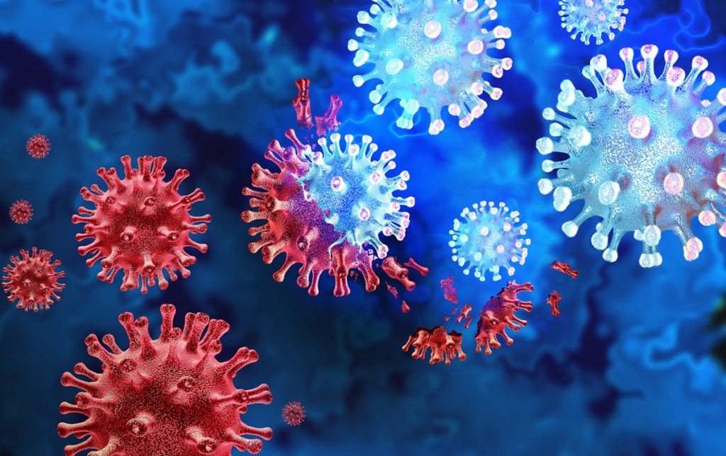 L’OMS s’alarme du potentiel de mutation du virus H5N1 vers la ...